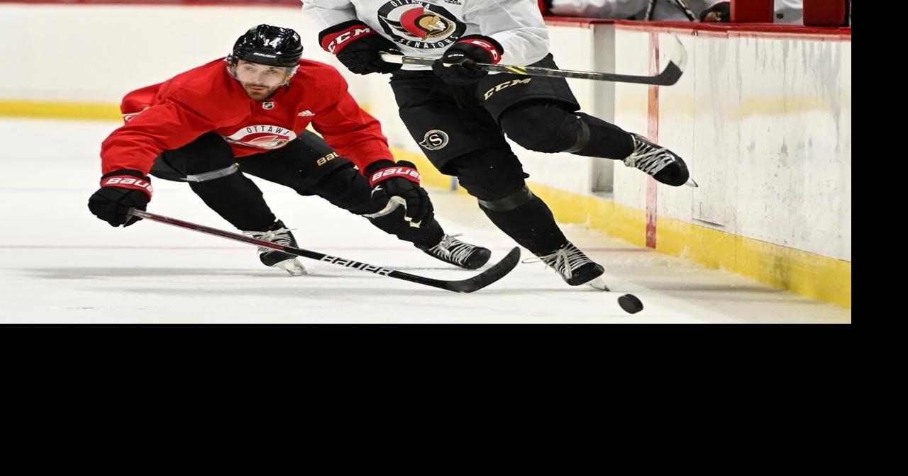 Senators sign forward Cole Reinhardt to one-year, two-way contract ...