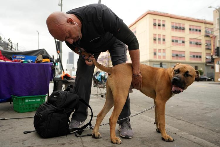 Nearly 1/3 of the US homeless population lives in California. This ...
