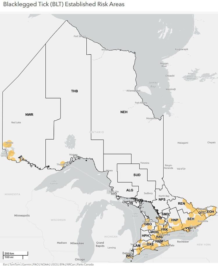 Ticks are surging in Ontario in 2026; Toronto is a hot spot