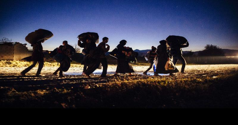 Night migration