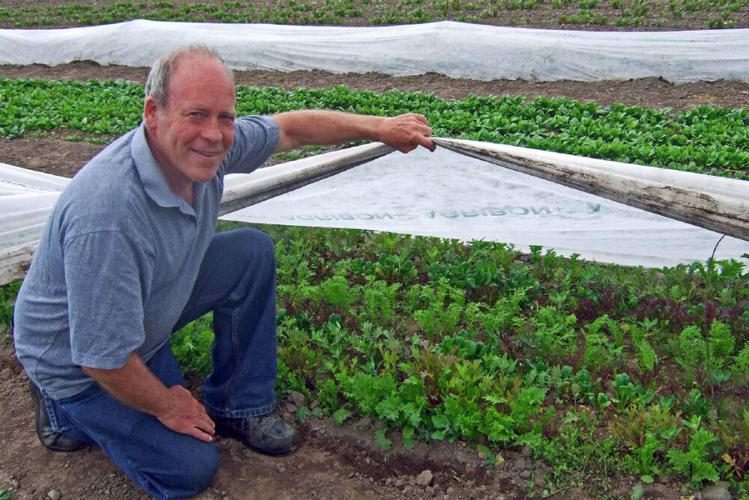 Want to be a farmer? Cookstown Greens is for sale