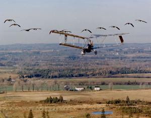 Bill Lishman, who taught birds to fly with him, remembered for thinking ...