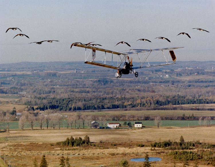 Bill Lishman, who taught birds to fly with him, remembered for thinking ...