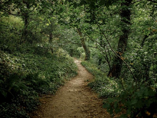 Exploring Daphne du Maurier’s Cornwall