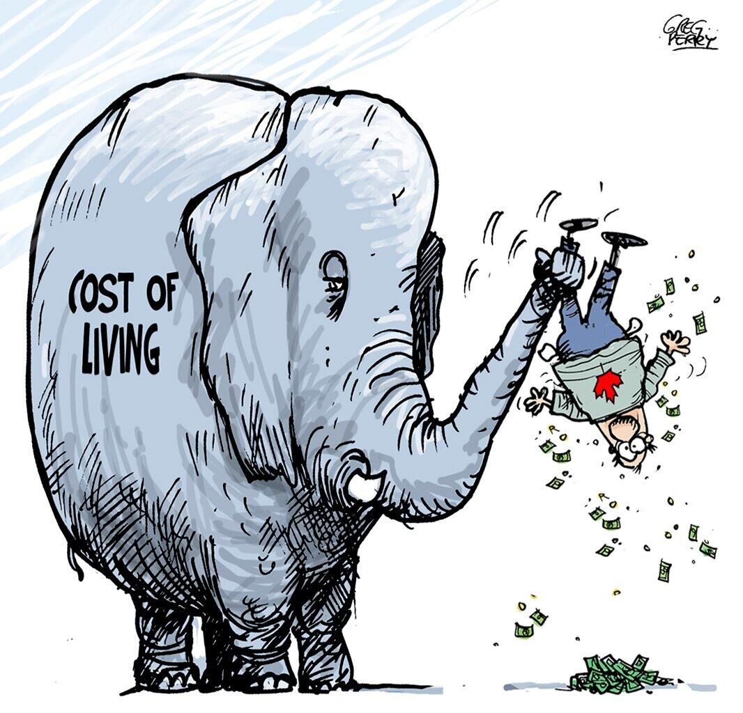 Greg Perry: Shakedown