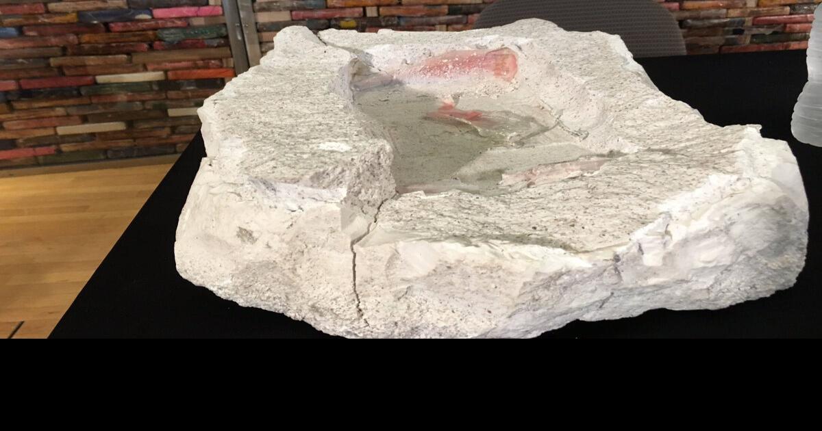 $250M worth of cocaine hidden in cement blocks is the biggest seizure ...