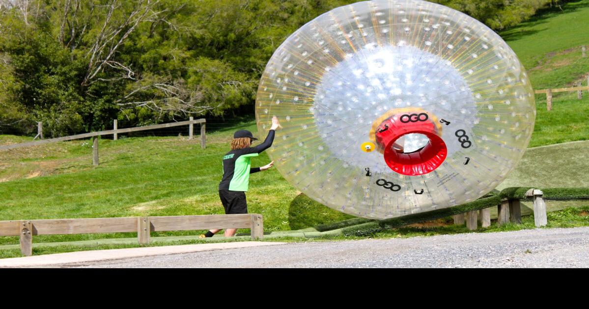 Rotorua, New Zealand: Zorbing is zany fun