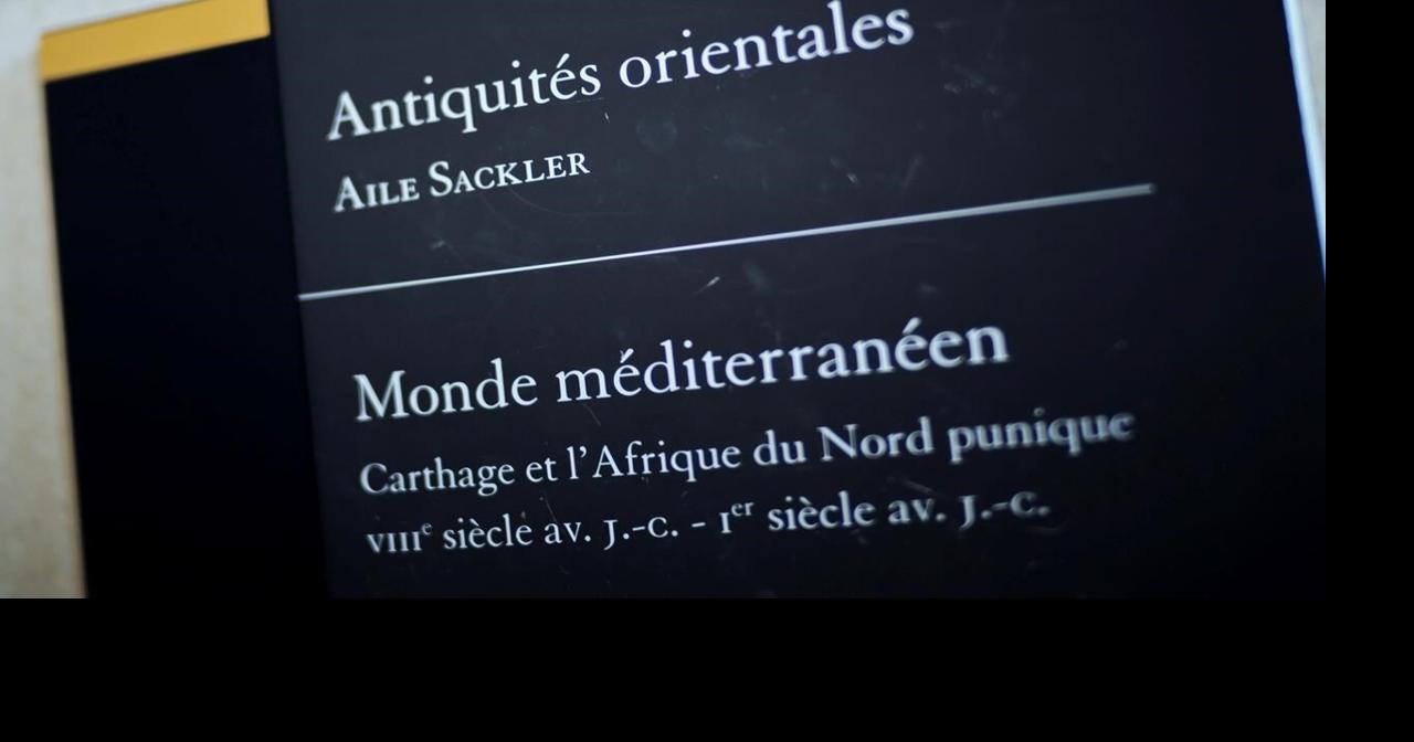 Louvre in Paris removes Sackler name after opioid protests