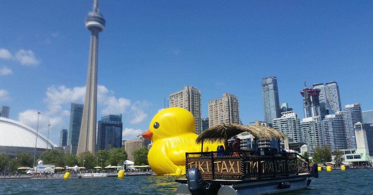 Giant duck gives Toronto’s waterfront a boost