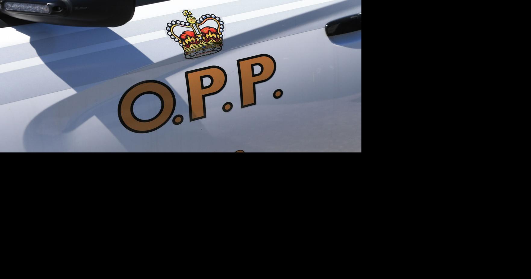 ‘Factually guilty’: OPP gun case tossed for racial profiling