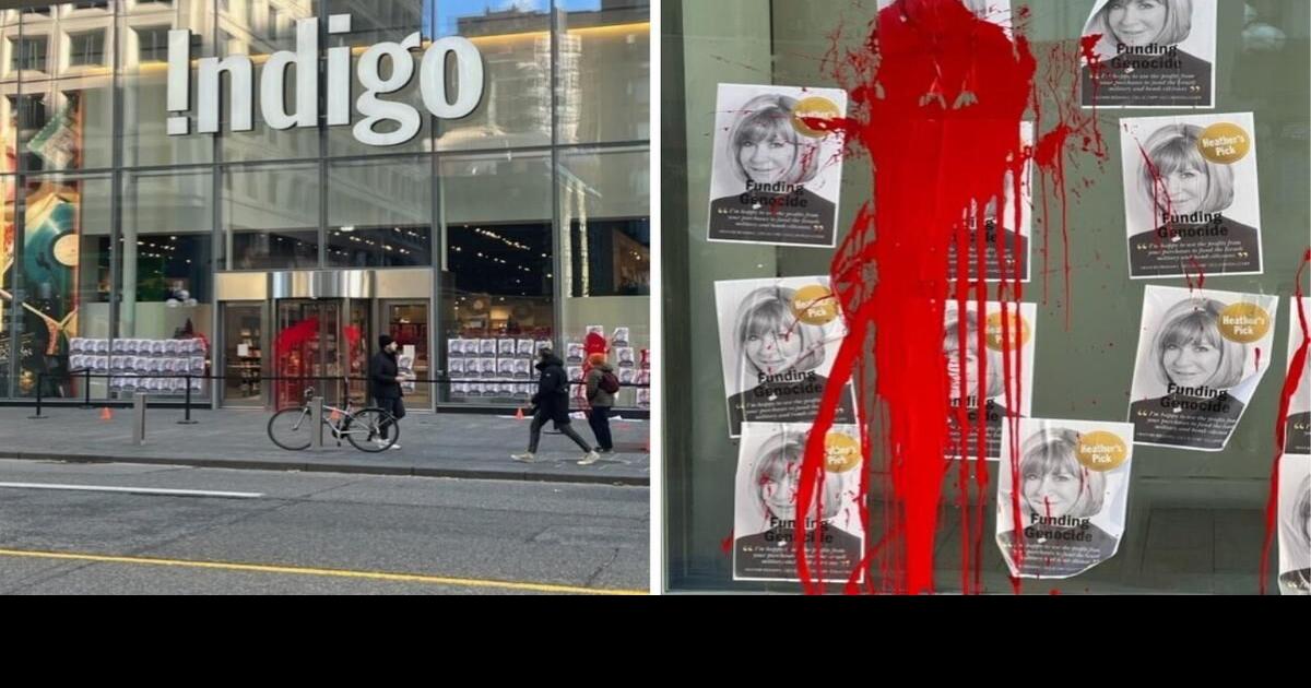 Indigo CEO did not influence chief in vandalism probe: Judge