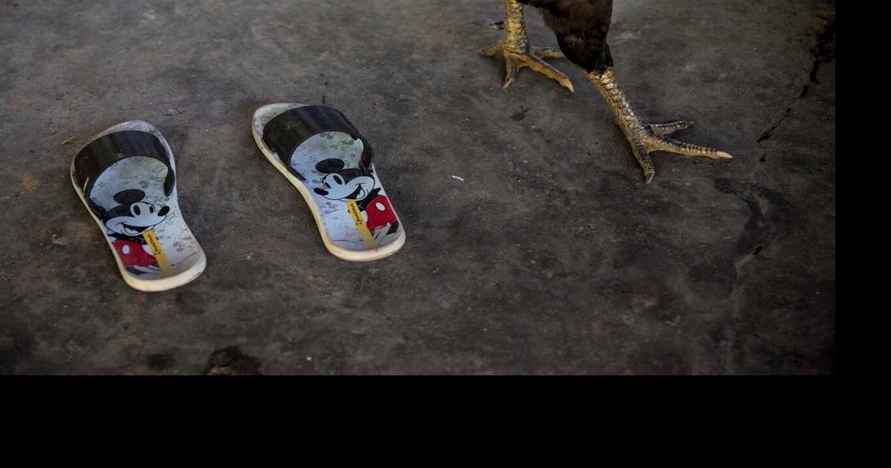Arrows and smartphones: daily life of Amazon Tembe tribe