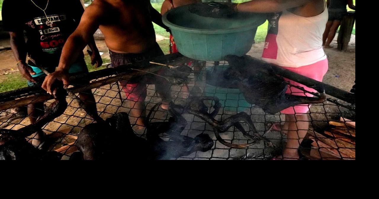 An Amazon rainforest rite of passage in threatened territory