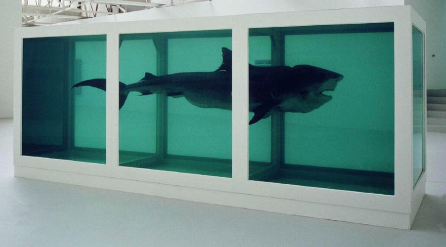 Damien Hirst’s In and Out of Love: artist accused of killing 9,000 ...