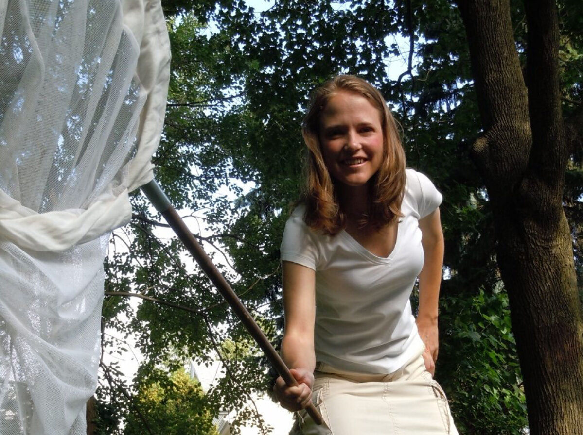 eButterfly program turns insect lovers into ‘citizen scientists’