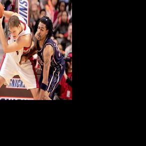 Nesterovic a consistent pro for Raps