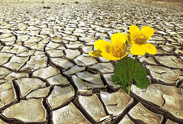 Sarah Meehan Sirk hits short story sweet spot