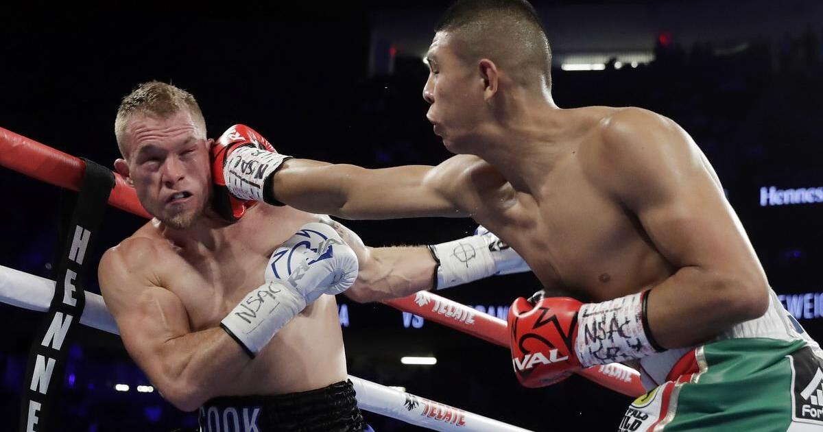 Ajax boxer Brandon Cook absorbs reality check after title shot