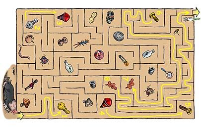 Mole maze answer!