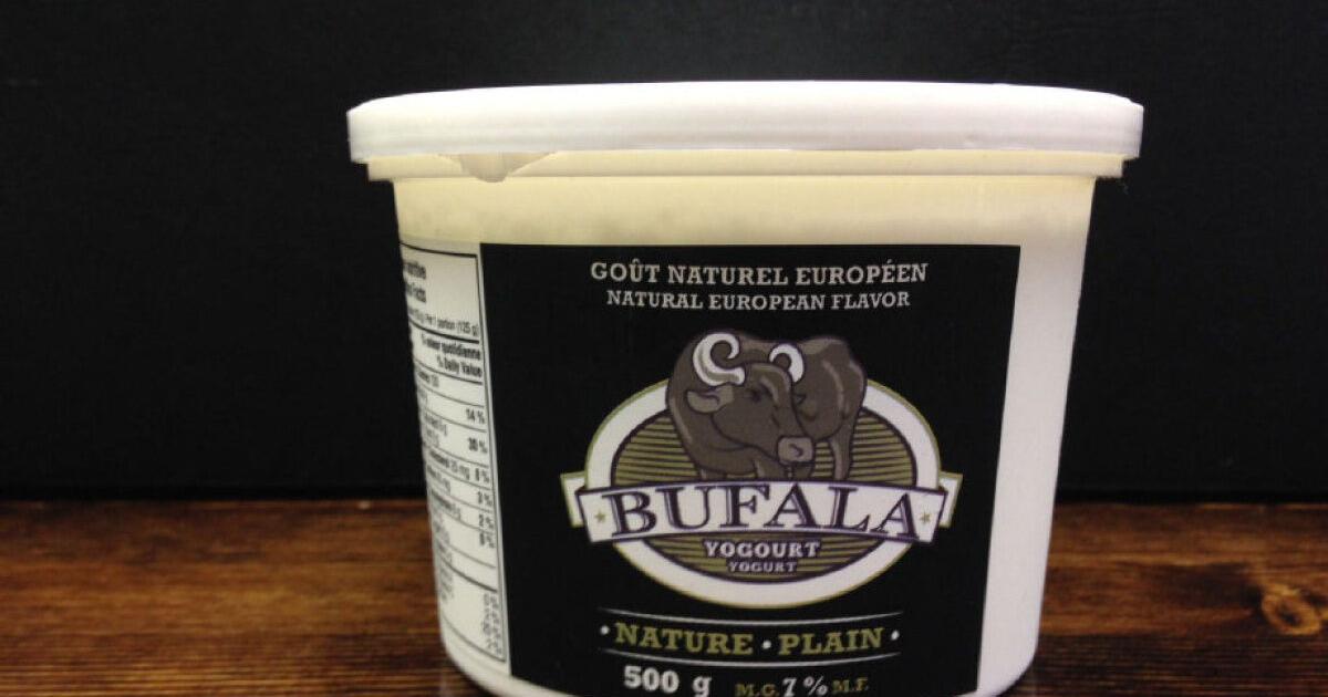 Yogurt made from Quebec water buffalo milk