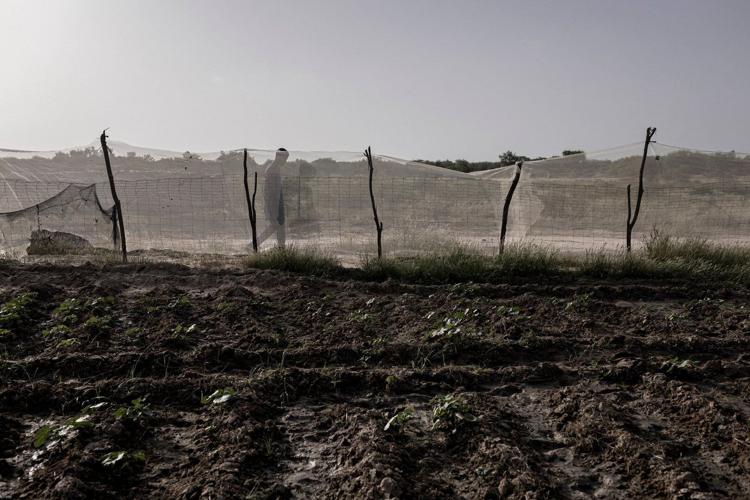 In Senegal, climate change is adding to historic tension between ...