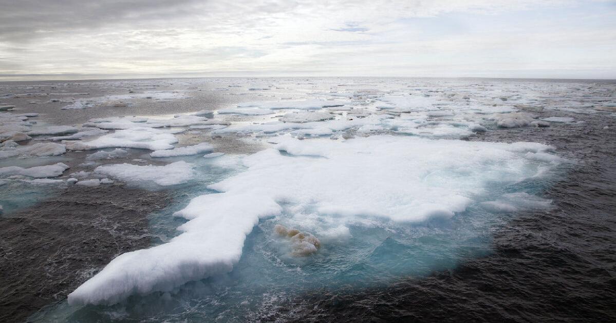 Fickle ice may explain Franklin ghost ship mystery