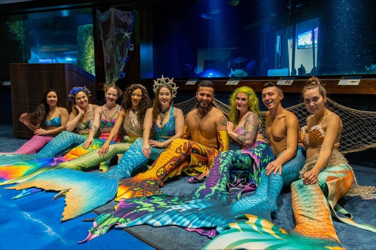 Toronto’s ‘real-life’ mermaids say it’s more than dressing up