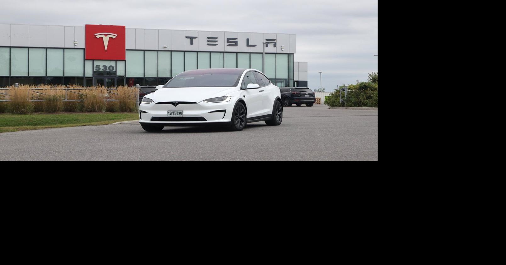 Canadian Tesla protests part of 'day of action' amid fractured U.S ...