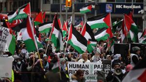 Protester at pro-Palestine rally in Toronto arrested