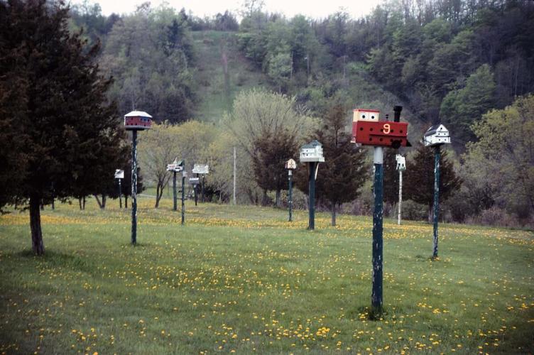 A Heritage Bridge and Birdhouse City: Unusual destinations worth seeing ...