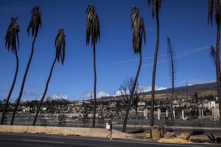 Residents who fled deadly Maui fire ask for time to grieve and slower ...