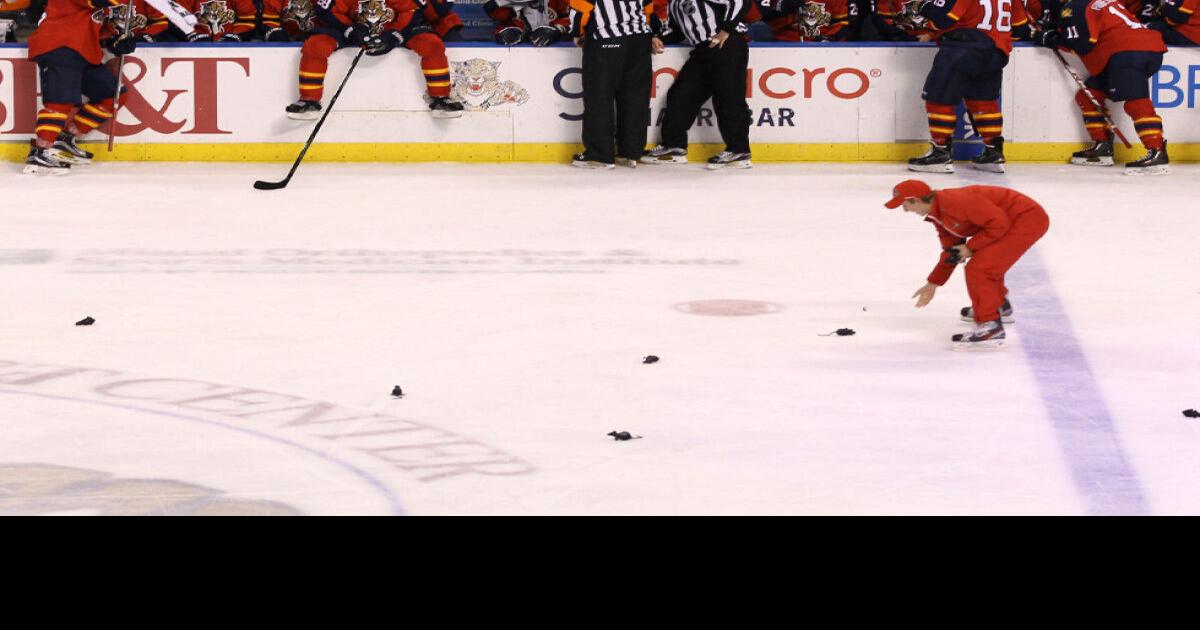 Rats Panthers Get Penalized Twice After Toy Rats Hit Ice