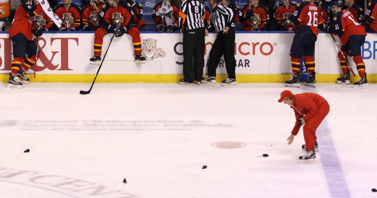Rats Panthers Get Penalized Twice After Toy Rats Hit Ice