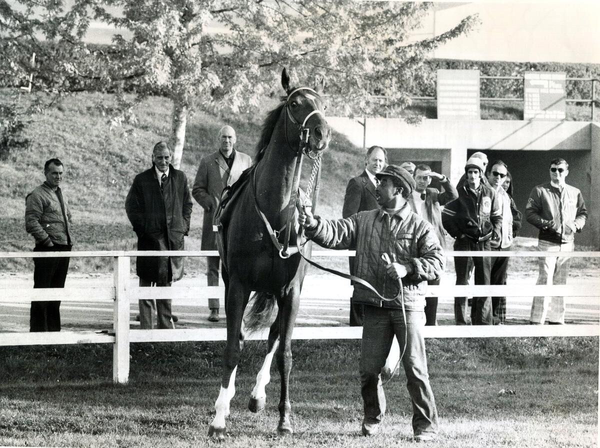 Secretariat’s final race in Toronto, 50 years later