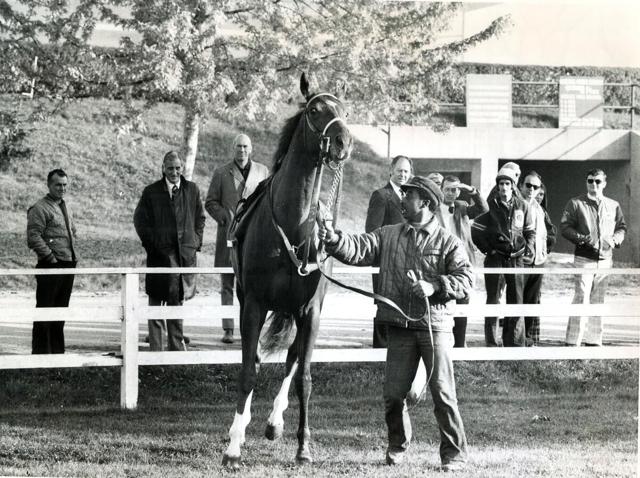 Secretariat’s final race in Toronto, 50 years later
