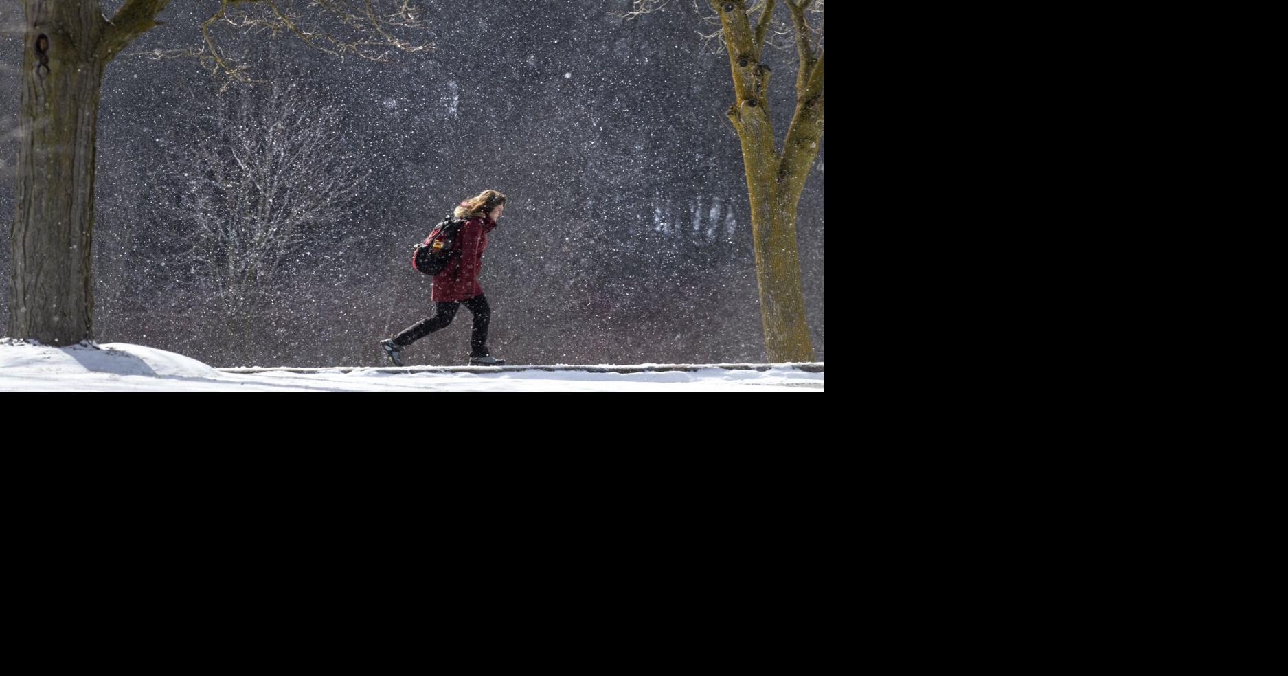Snow squall warnings in effect for parts of Ontario
