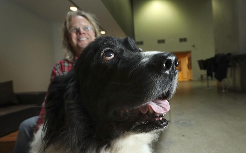 George the dog is a ‘gentle giant’ who hangs ten: Pet Psyche