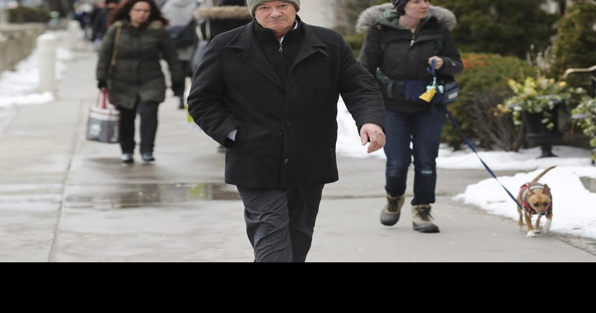 Toronto judge sentences ‘Ndrangheta crime boss to 11 ½ years for ...