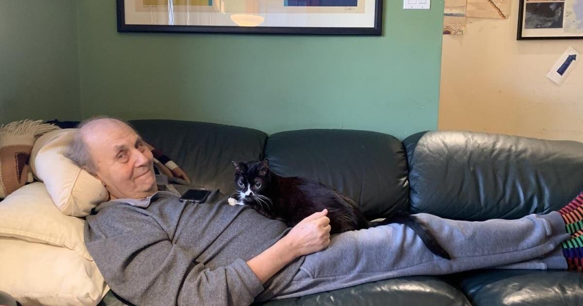 The peculiarity of mourning Keiko the cat in these terrible times