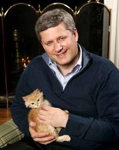 stephen harper cat