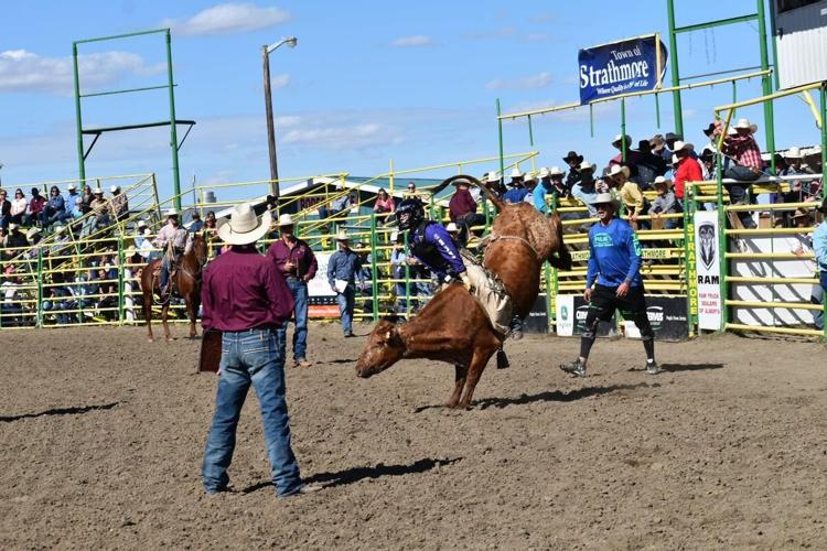 Meet Bailey Schellenberg, the first female steer rider to compete at ...