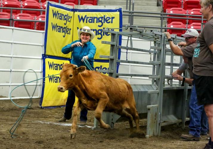 ‘This is, in fact, my first rodeo’: Star Calgary reporter gets schooled ...