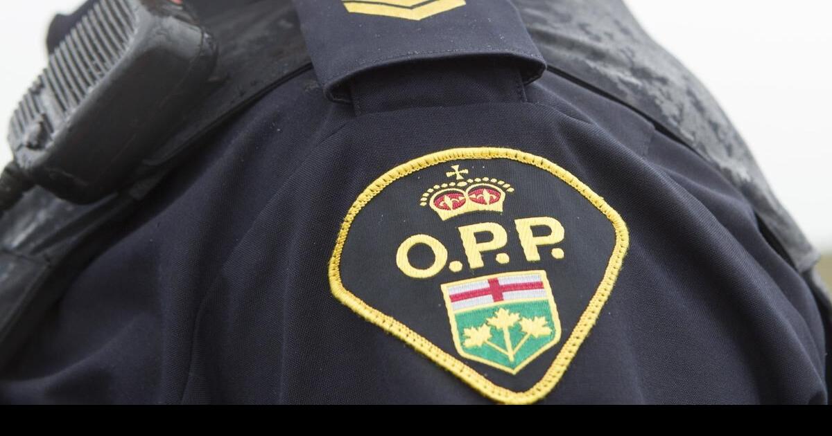 OPP investigating death in Brant County