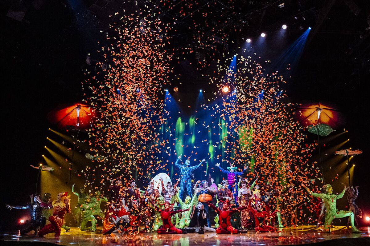 Bringing the cheerful and bustling world of insects to life through jaw ...