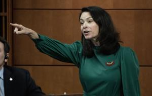 Heather McPherson, Avi Lewis prepare NDP leadership bids