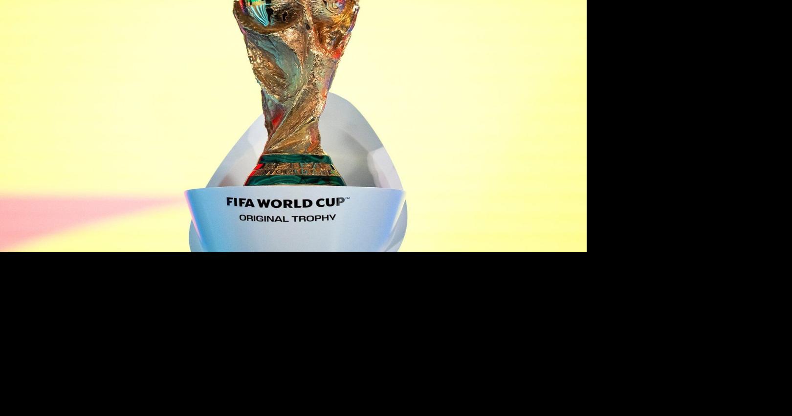 Tickets to Canada's FIFA World Cup games popular despite hefty price tag