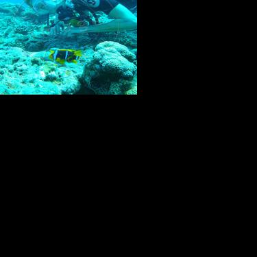 Have a nap, strike a pose & put on a show