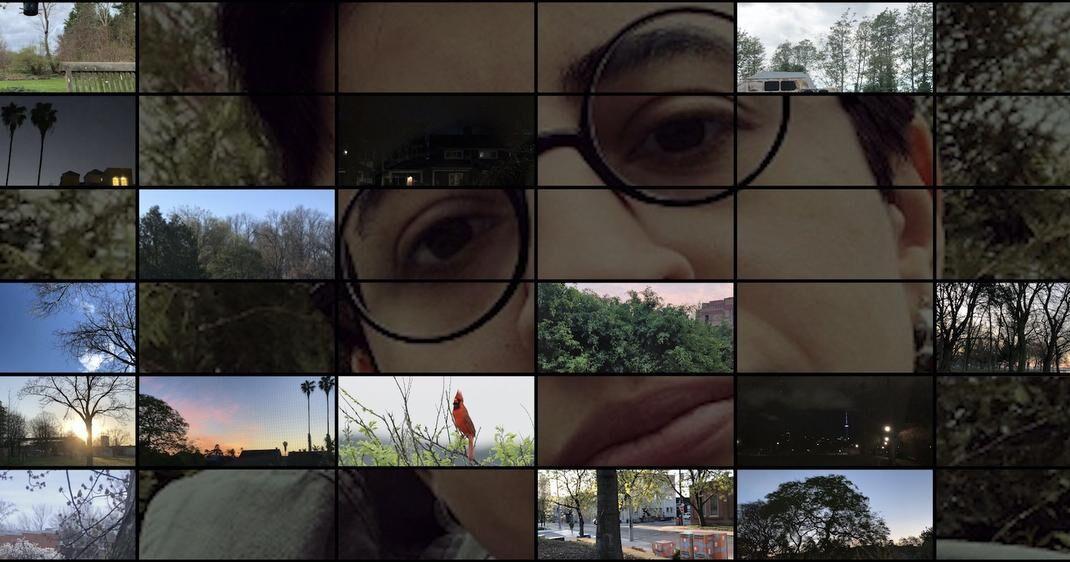 John Greyson documentary channels songbirds, Zoom, to explore Egyptian ...