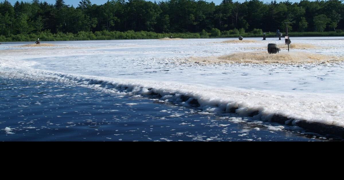 Hope, fear characterize final countdown to Boat Harbour closure for ...