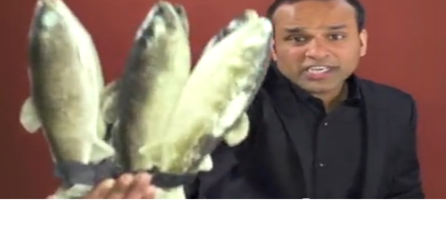 One Pound Fish from Muhammad Shahid Nazir launches official music video